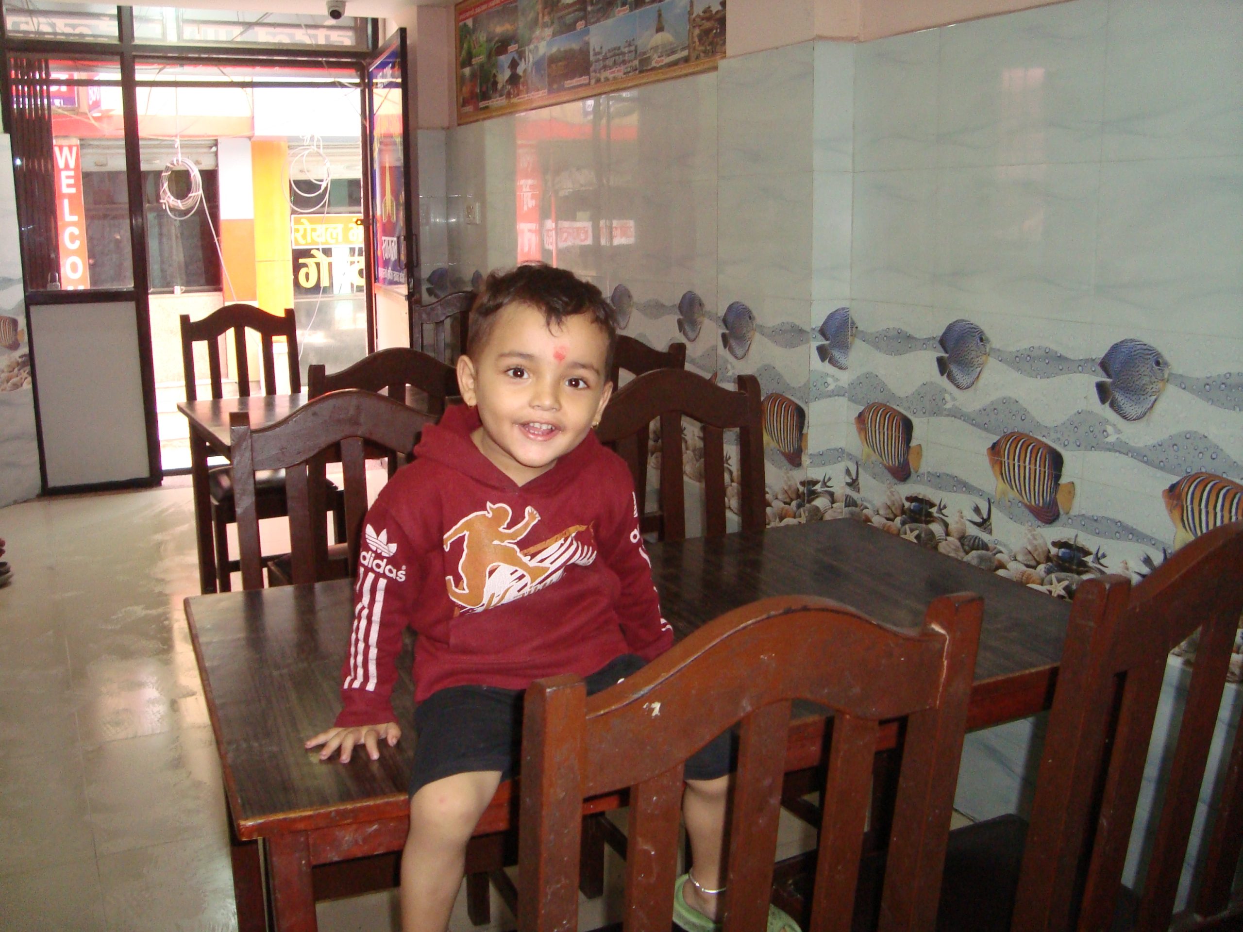 Guest in nepal - The Hotel in New Buspark
